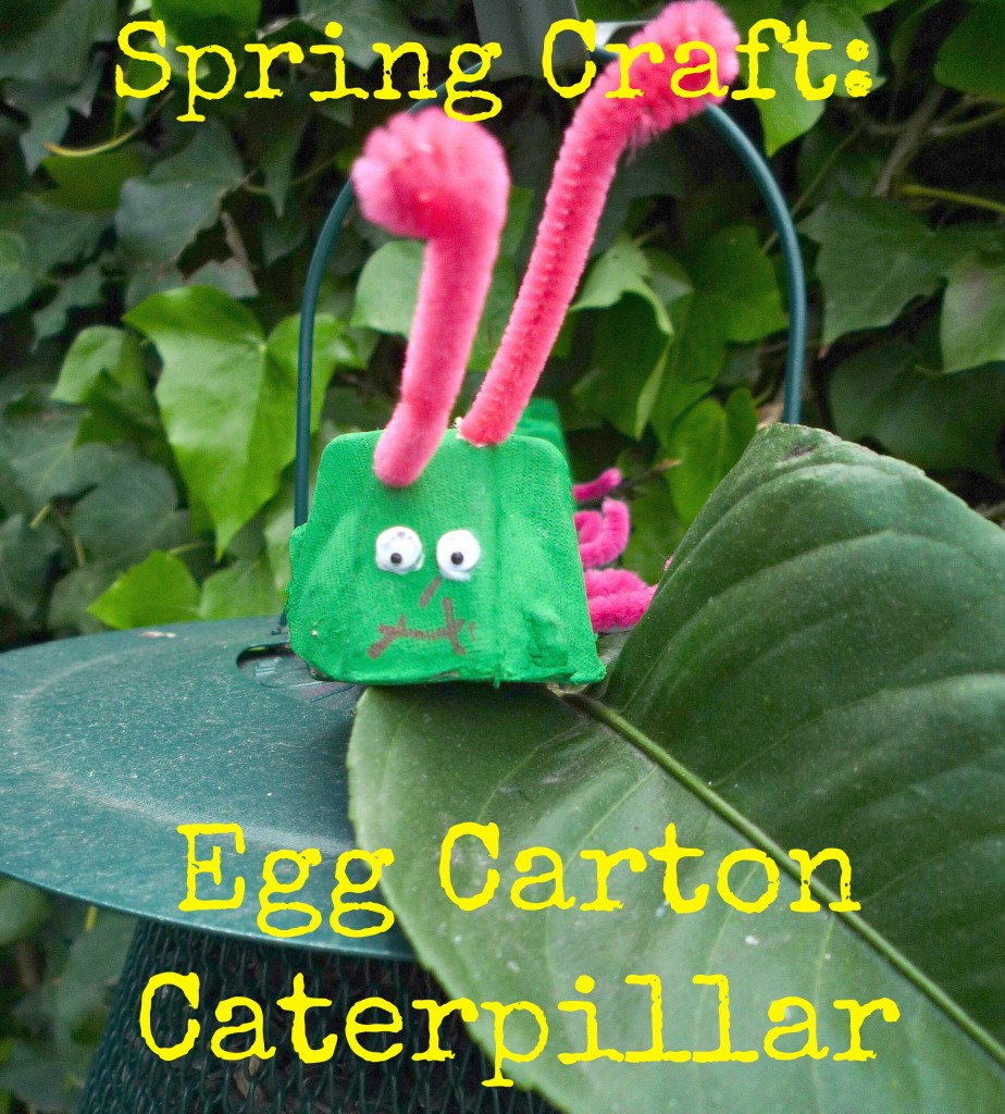 Spring Craft: Egg Carton Caterpillar – Teacher Created Tips