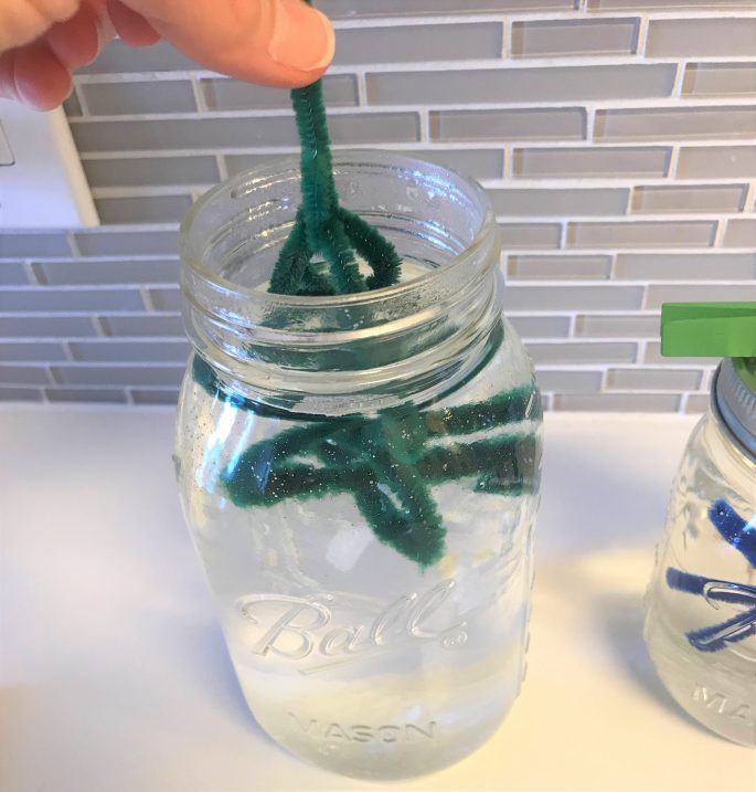 Family Fun Science Activity for the Holidays – Teacher Created Tips